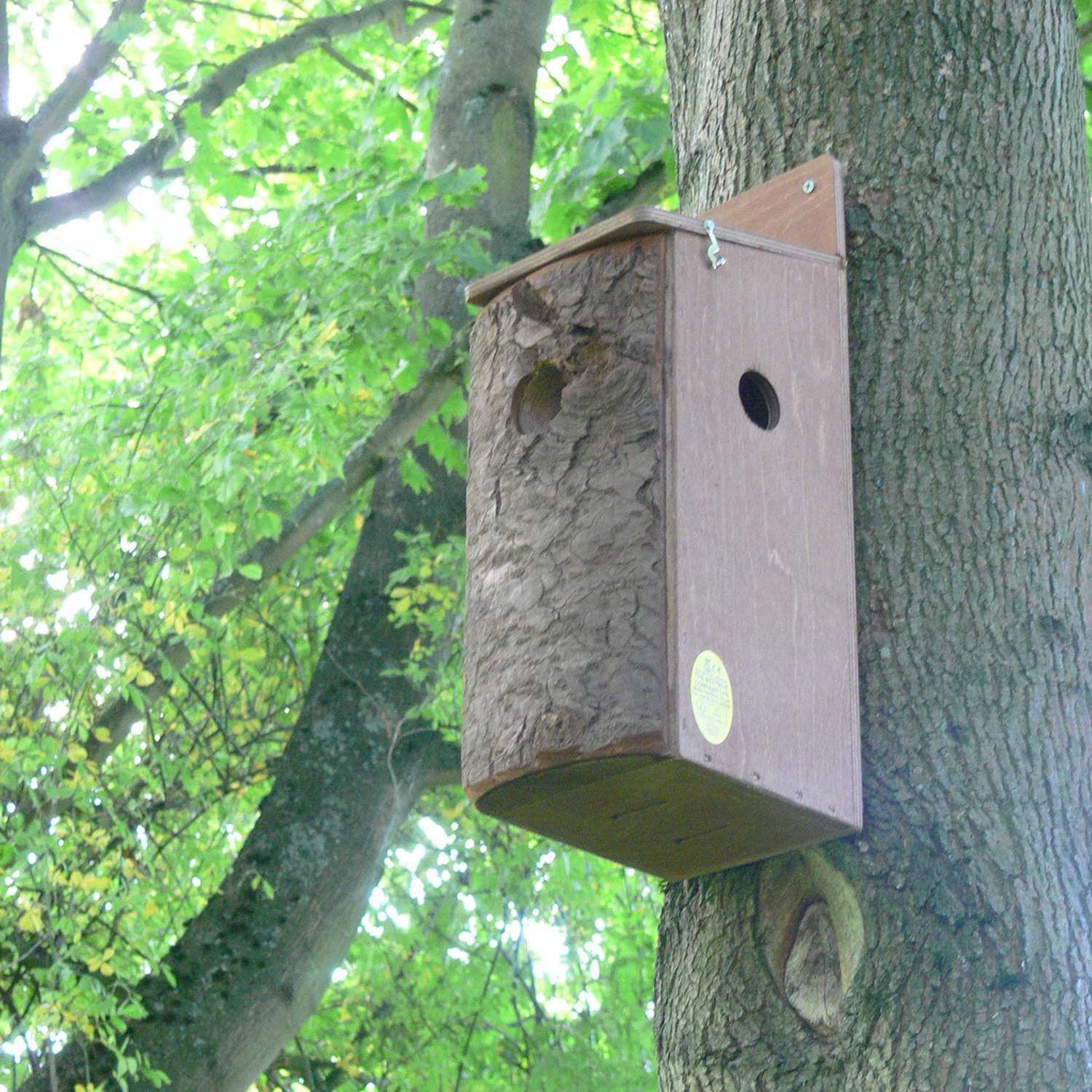 Red Squirrel Nest Box With Multiple Entrances