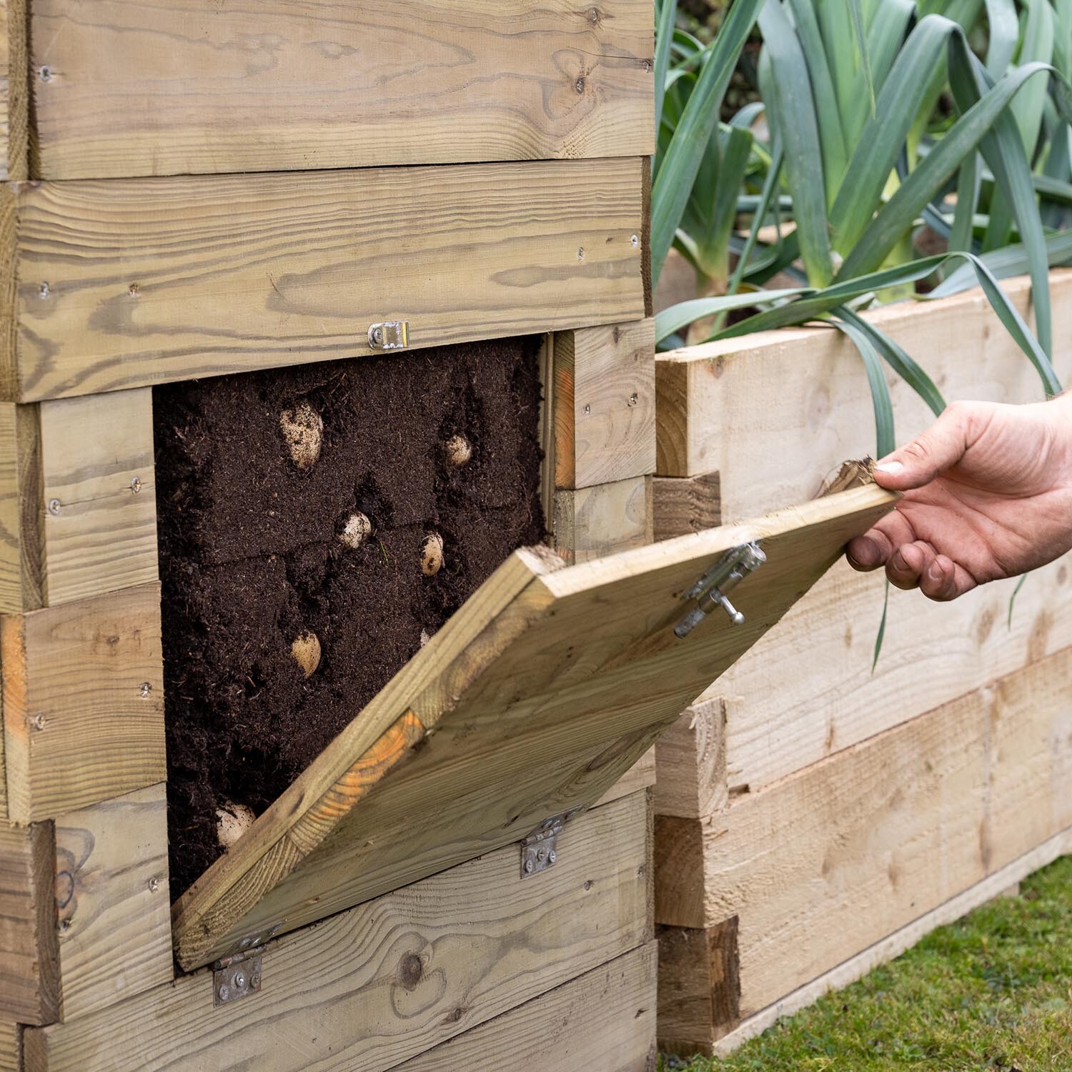 Potato Planter