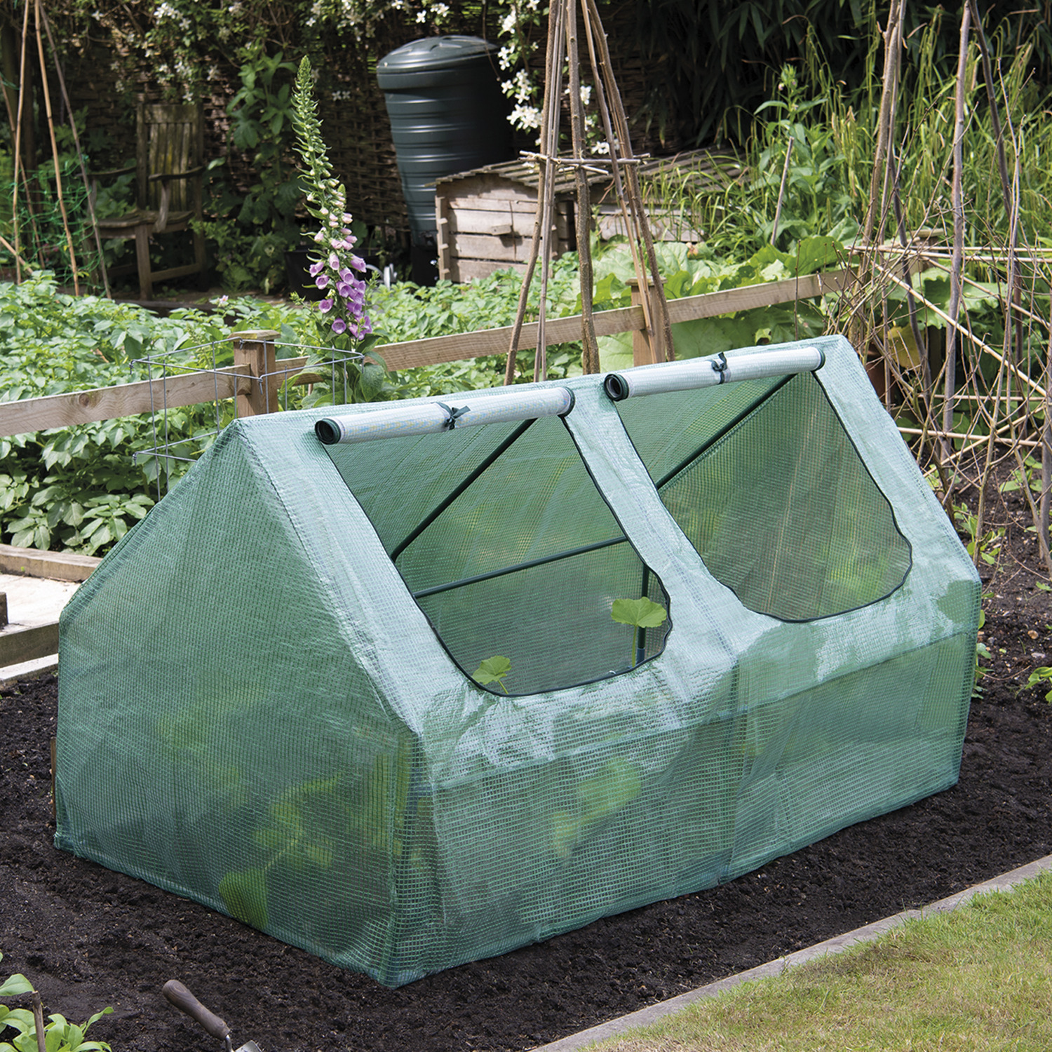 Outdoor Cloche