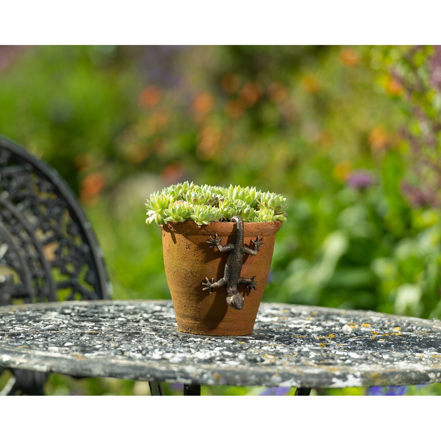 Antique Bronze Coloured Gecko Pot Buddy Plant Pot Hanger