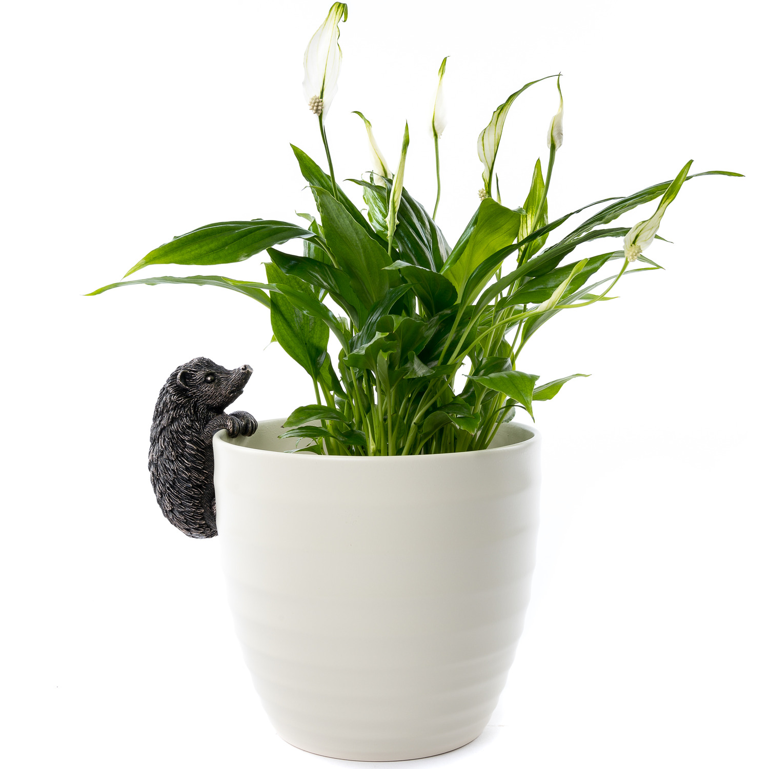 Hedgehog Plant Pot Hanger