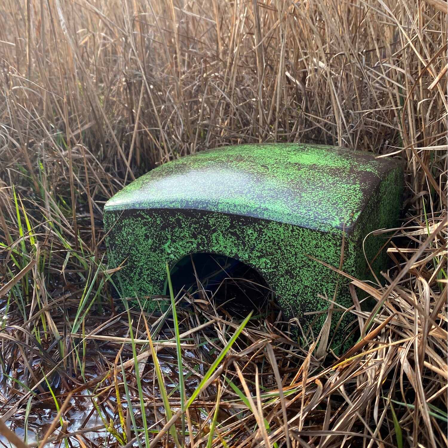 Ceramic Frog and Toad House
