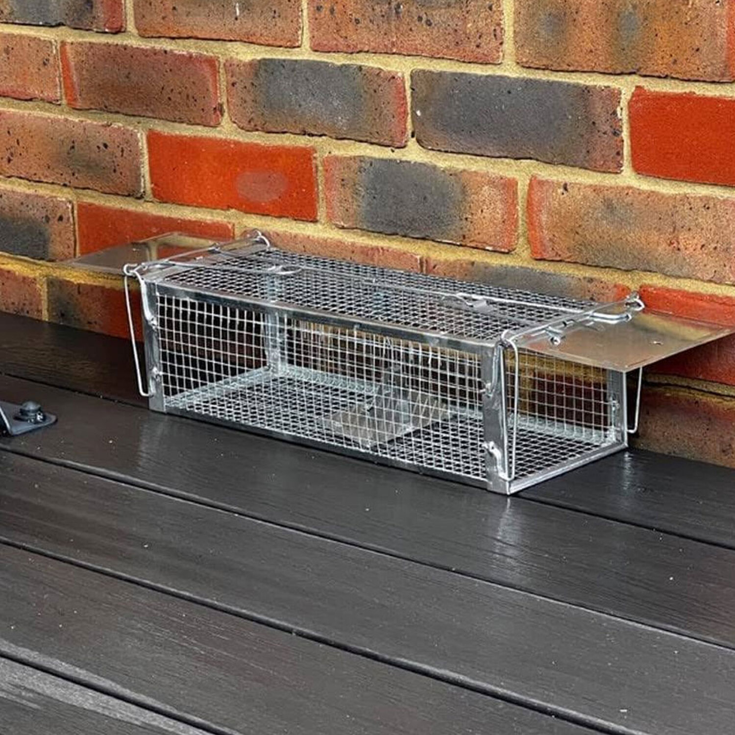Dual-Entry Humane Metal Rodent Trap Cage