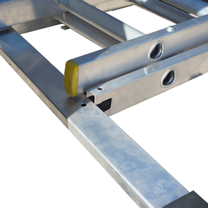 Professional Extension Ladder
