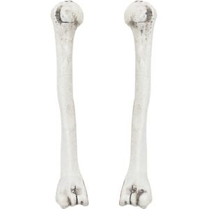 Halloween Realistic Skeleton Decoration Kit