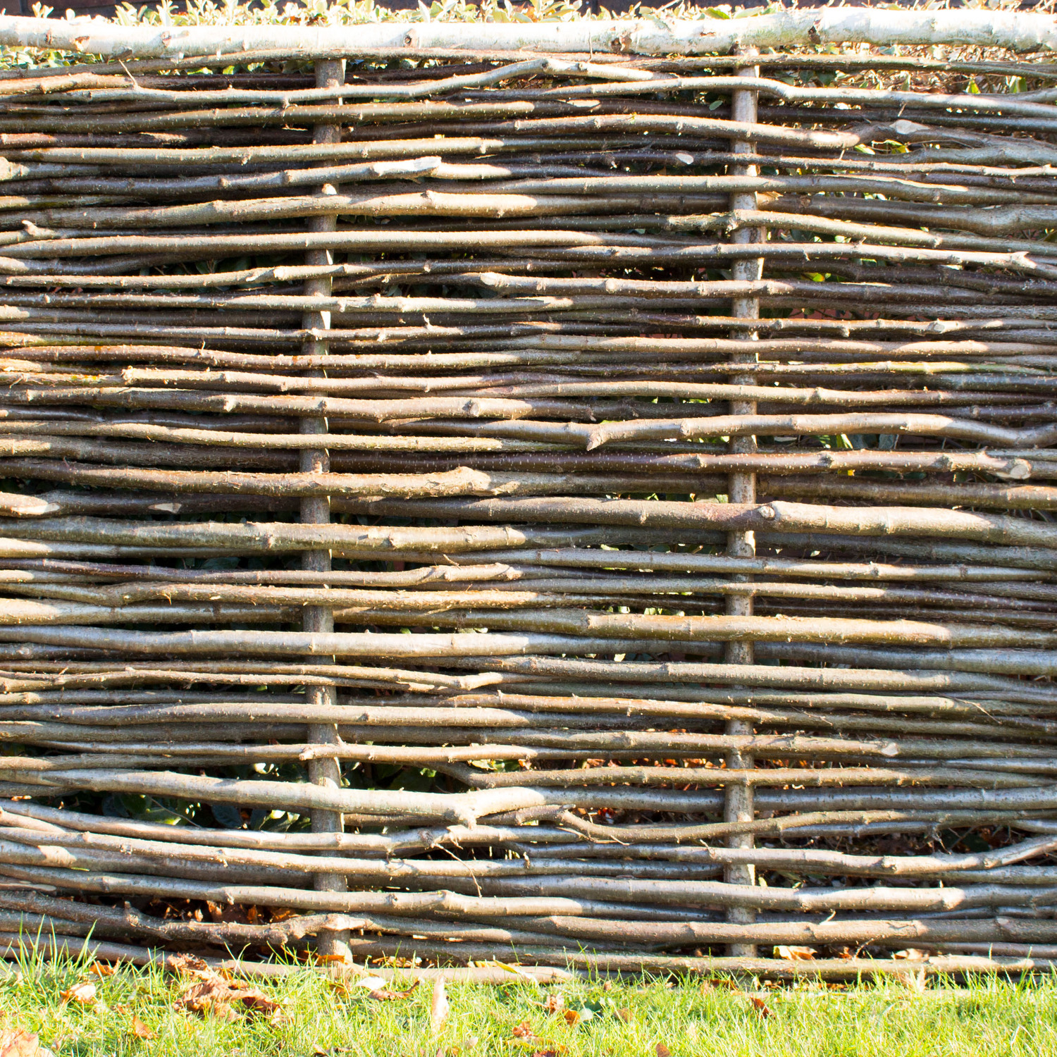 6ft Premium Hazel Weave Hurdle Fencing Panel Birchwood Capped
