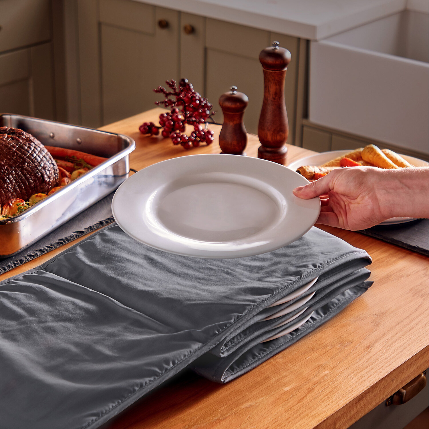 Electric Plate Warmer