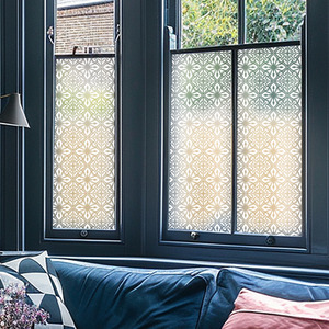 Elegant Frosted Window Film with Ornate Patterns