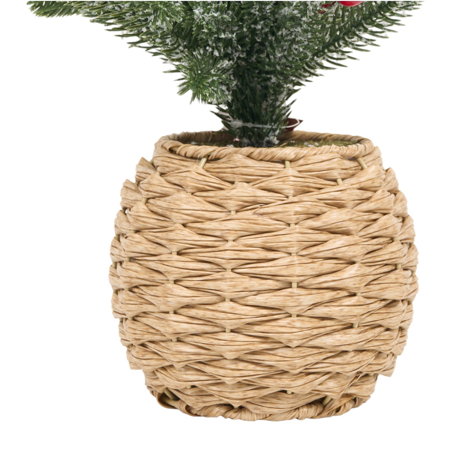 Robin Berry Potted Tree