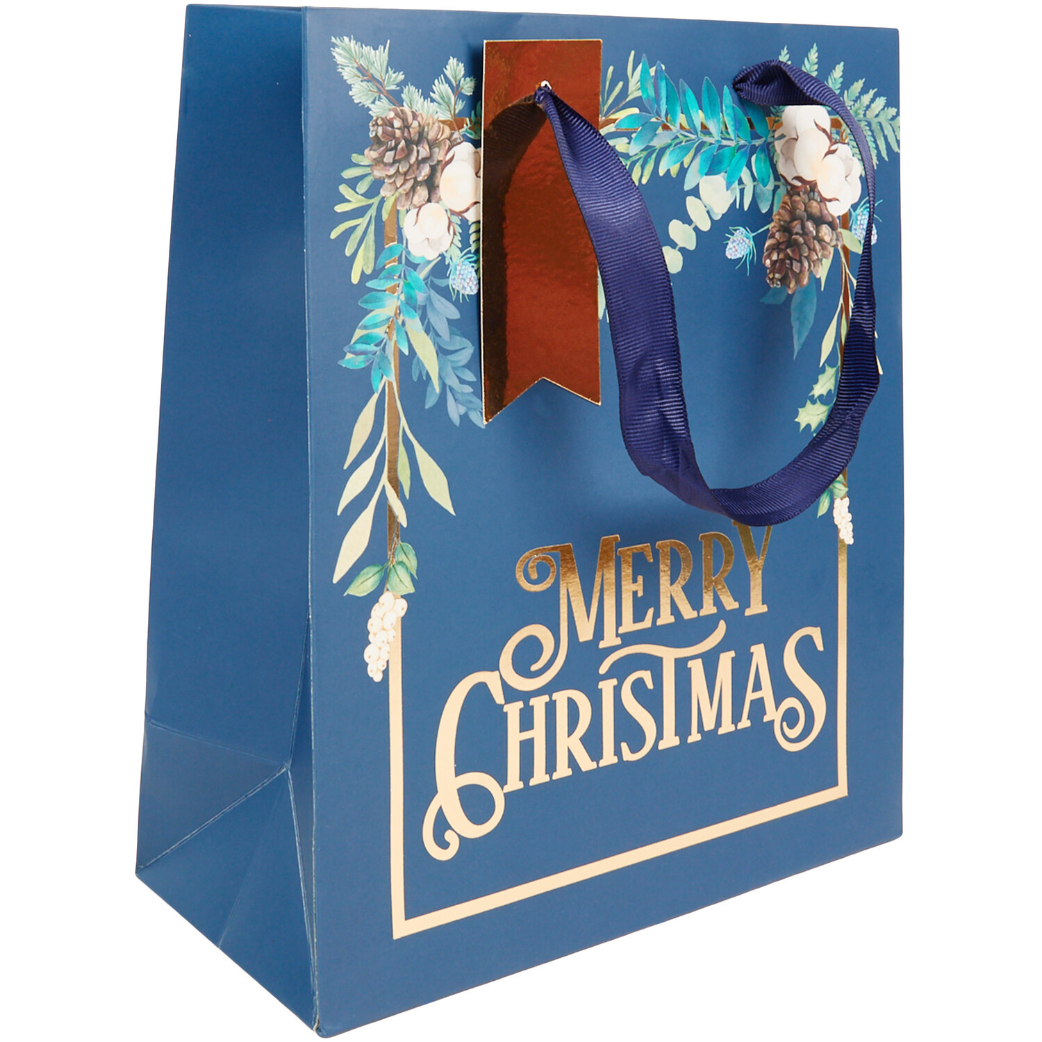 Magic In the Dark Christmas Gift Bag
