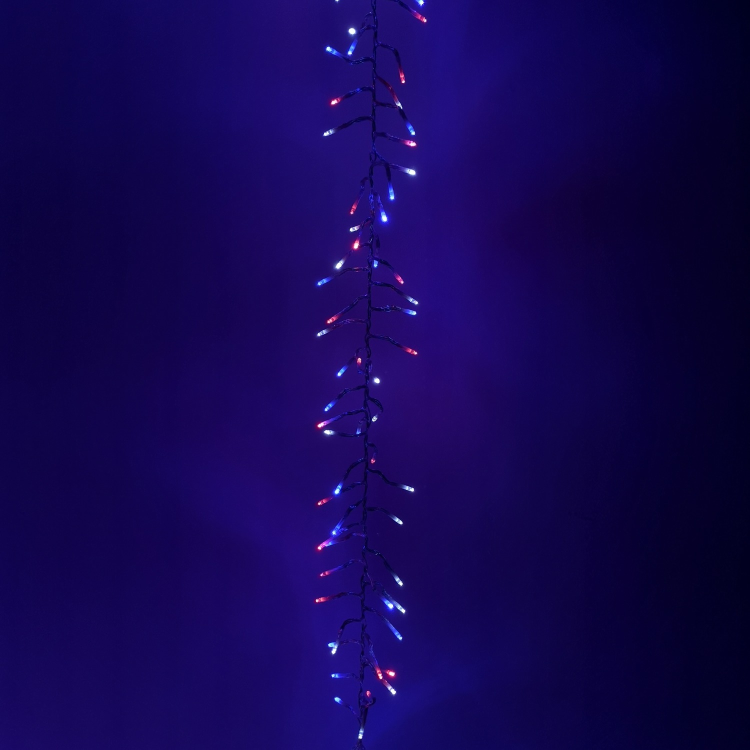 Premier Cluster Christmas Lights with Timer