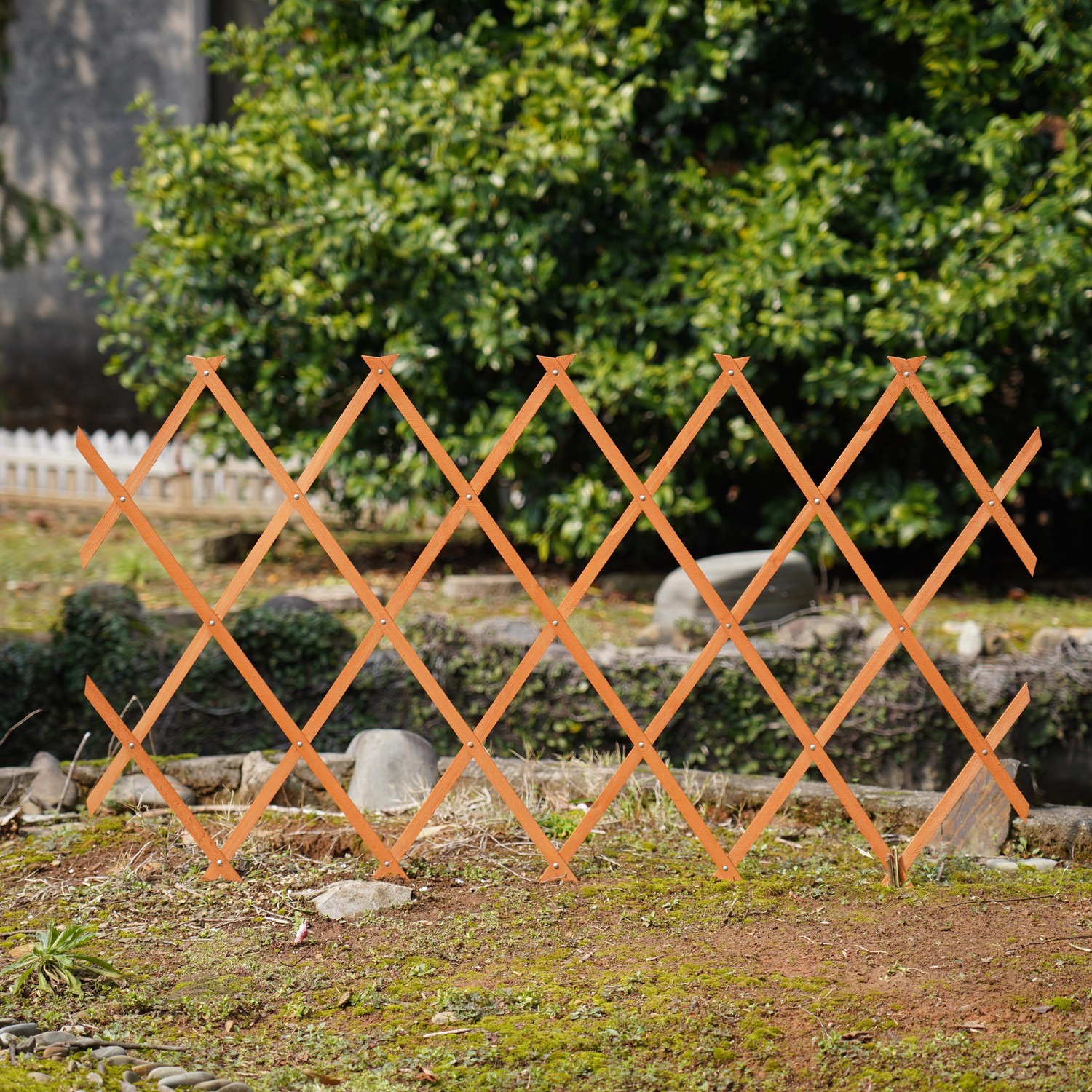 Expandable Garden Wooden Trellis Fence 5ft Plant Support