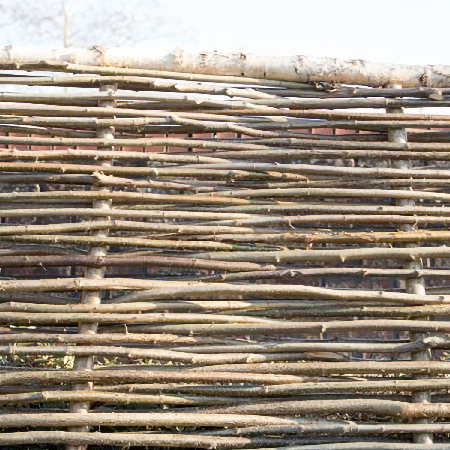 6ft Premium Hazel Weave Hurdle Fencing Panel Birchwood Capped