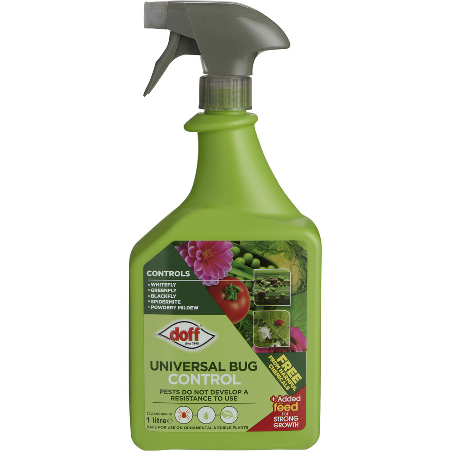 Bug And Fungus Control