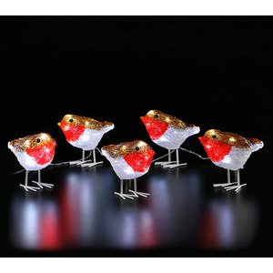 5 Acrylic Robin Lights with 40 White LED's