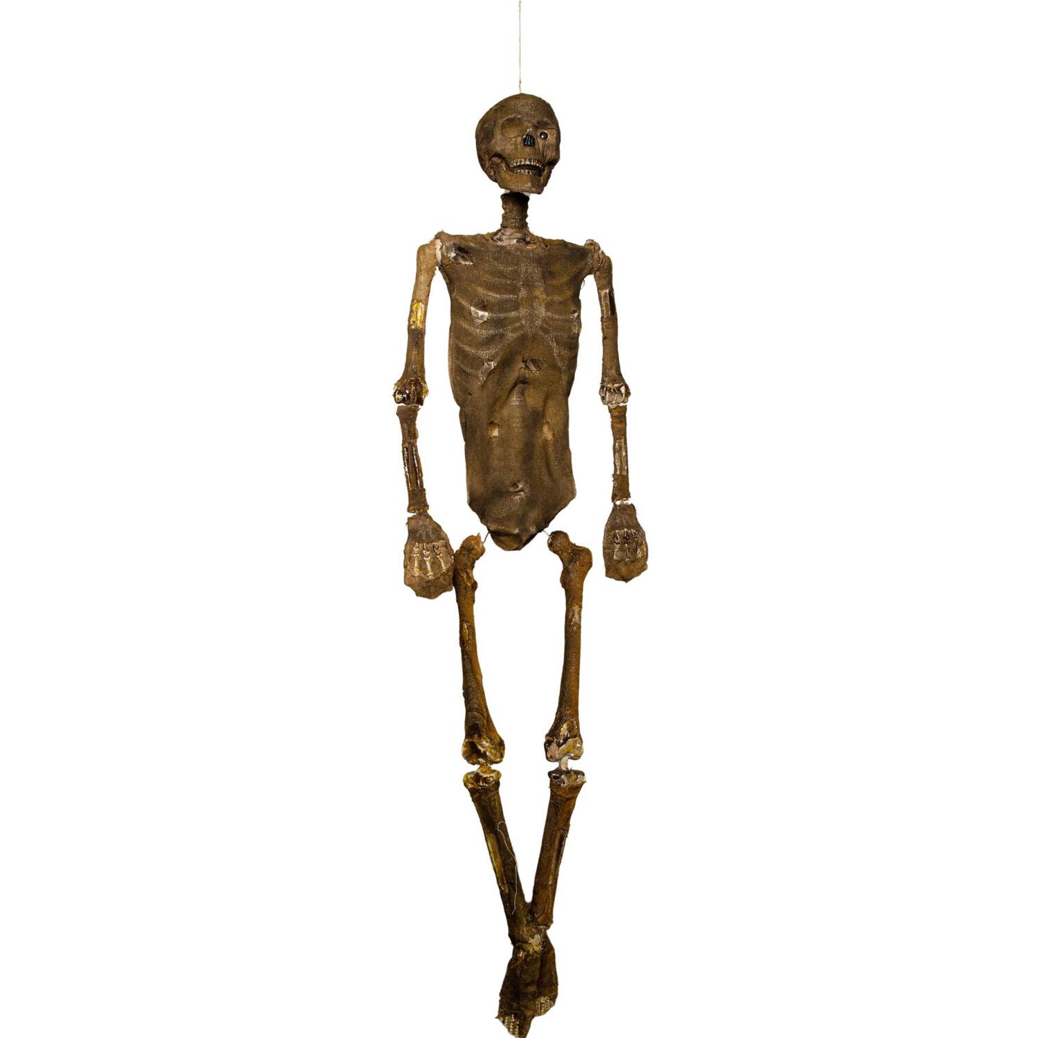 Full Body Halloween Mummified Skeleton with Posable Joint