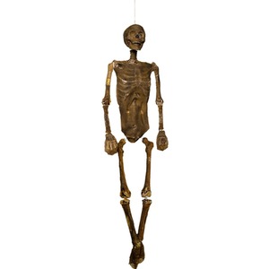 Full Body Halloween Mummified Skeleton with Posable Joint