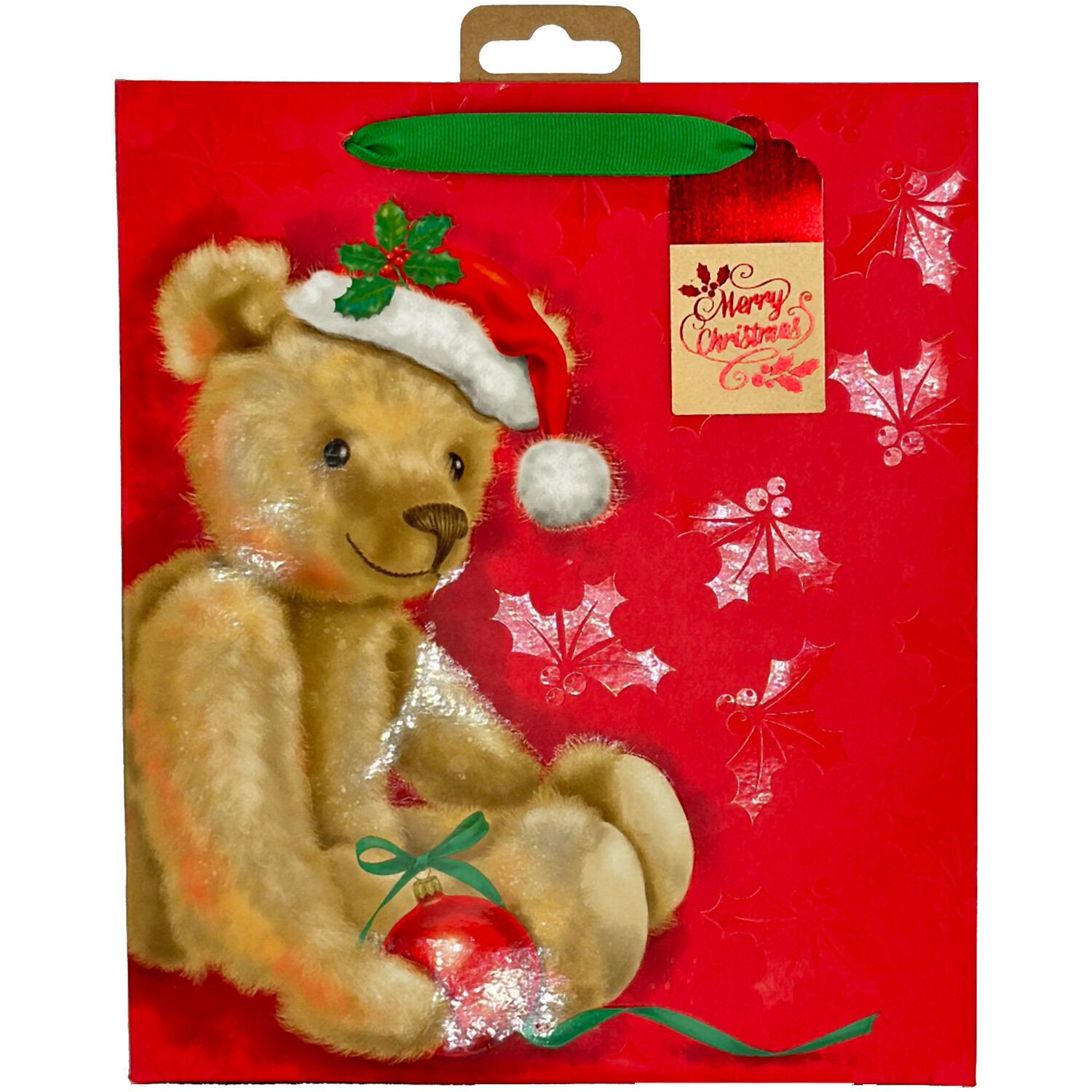 Teddy Bear Gift Bag