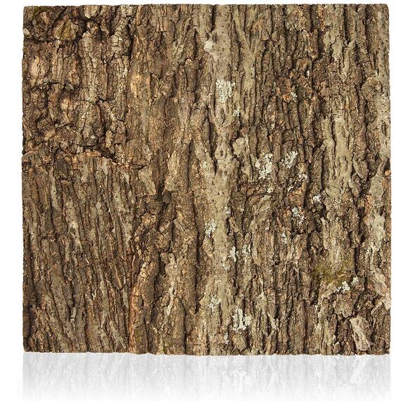 Swell Reptiles Natural Cork Tile Background
