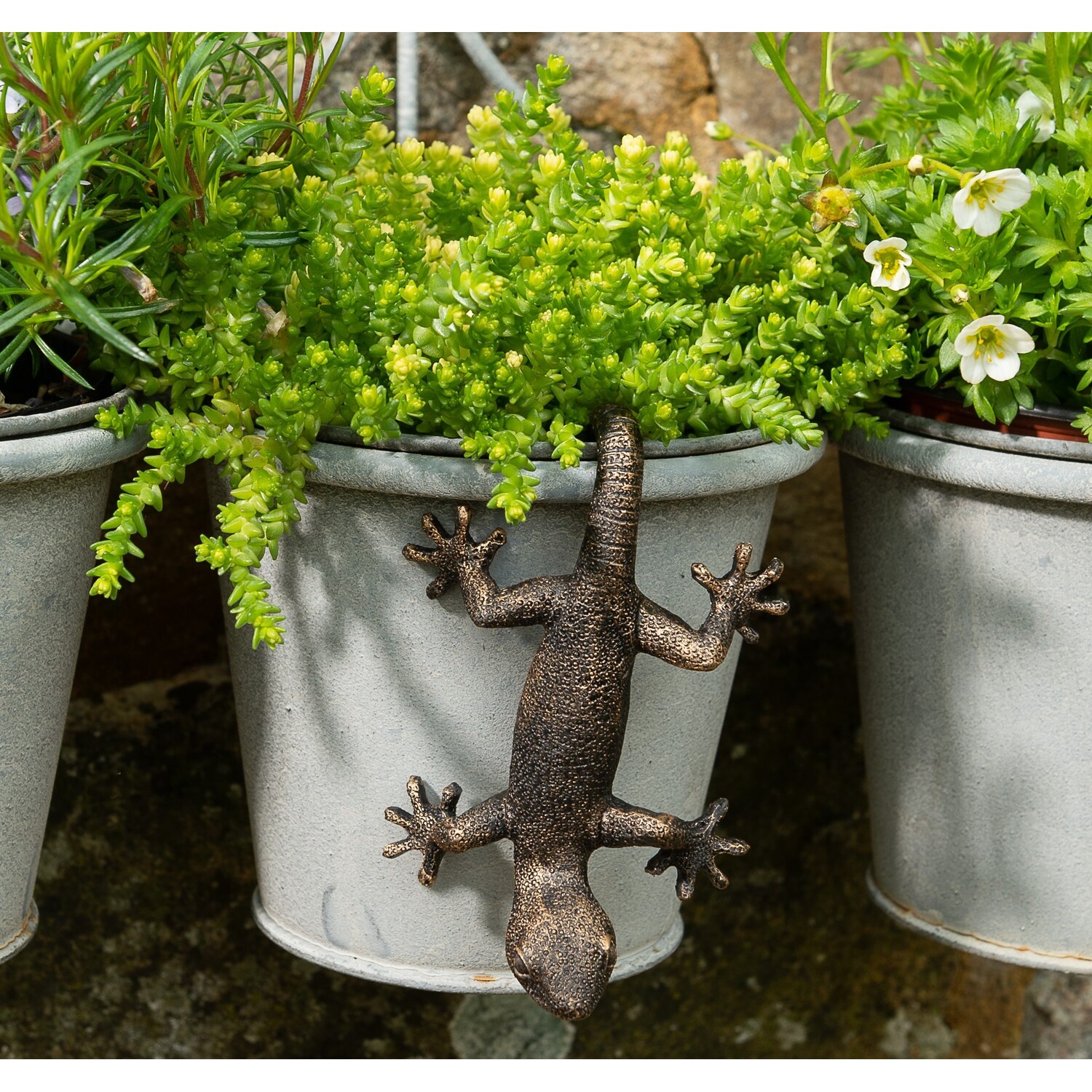 Antique Bronze Coloured Gecko Pot Buddy Plant Pot Hanger
