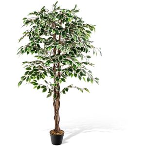 Outdoor Fake Ficus Plants with Plastic Pot