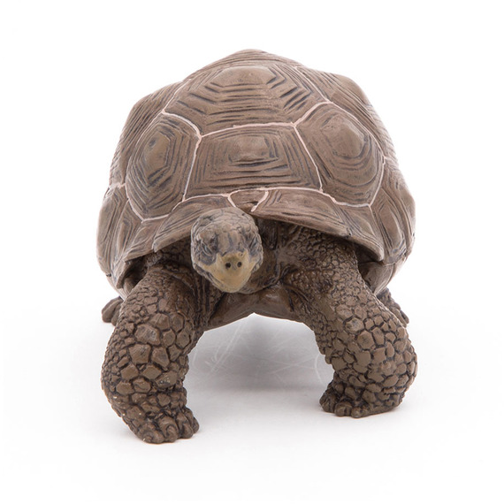 PAPO Wild Animal Kingdom Galapagos Tortoise Toy Figure