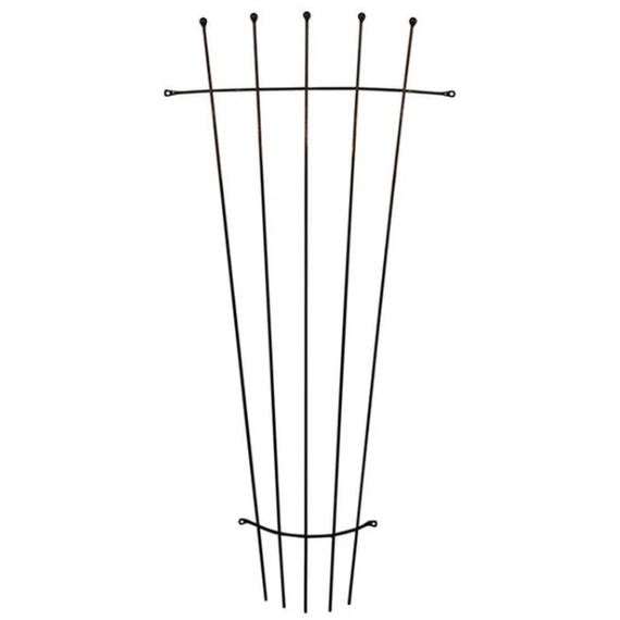 Wall Mounted Fan Trellis