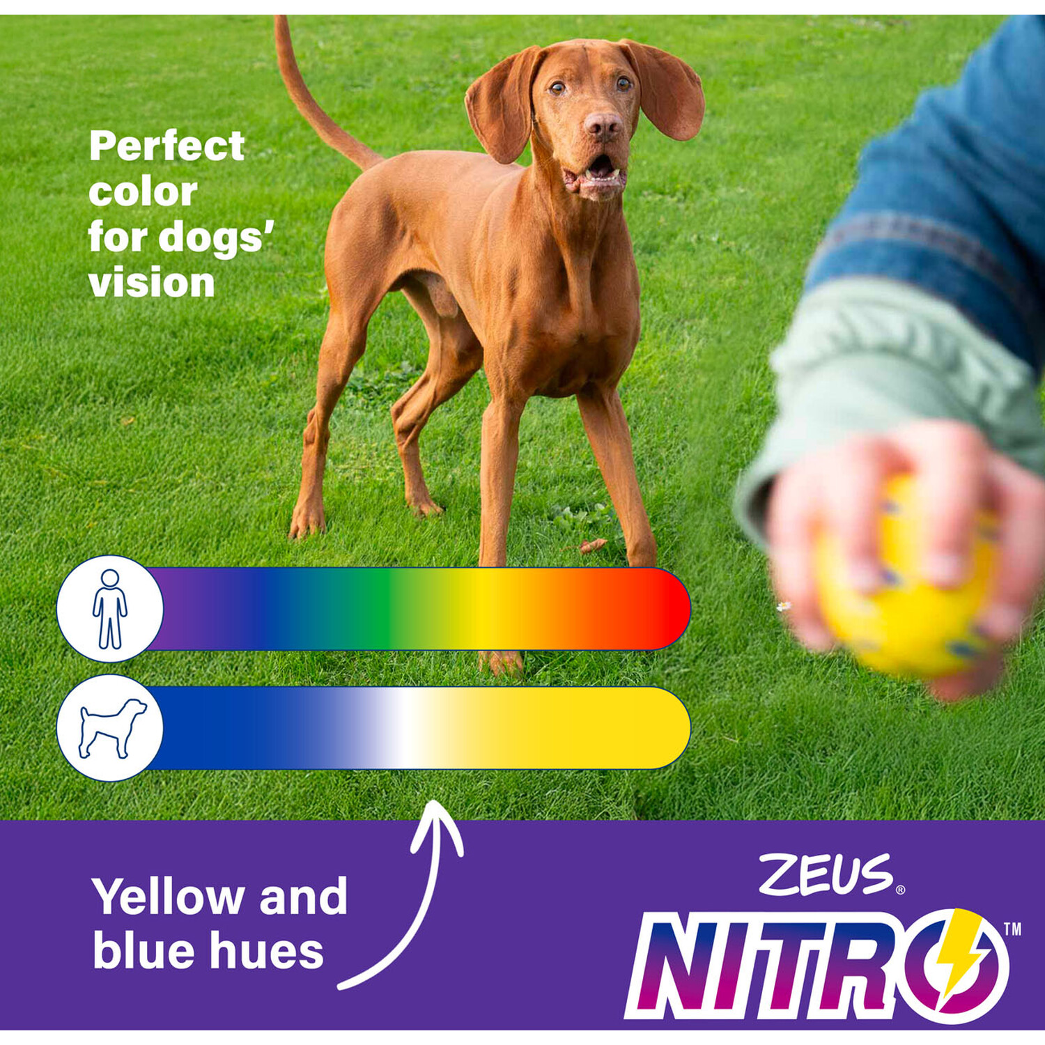 Zeus Nitro Weighted Grip Ball Dog Toy