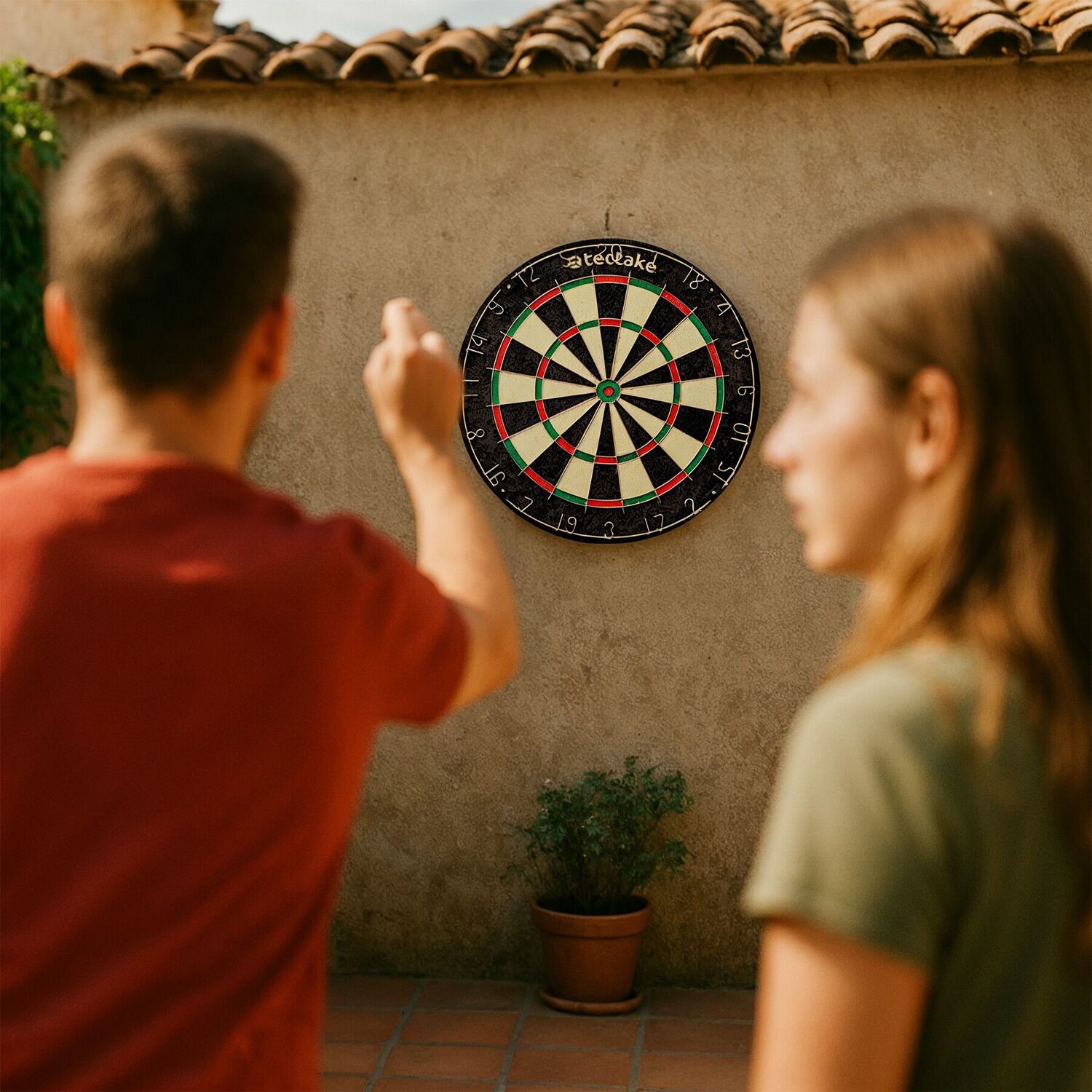 Dartboard Bully with 9 Darts, 21 Flights, Installation Materials and ...