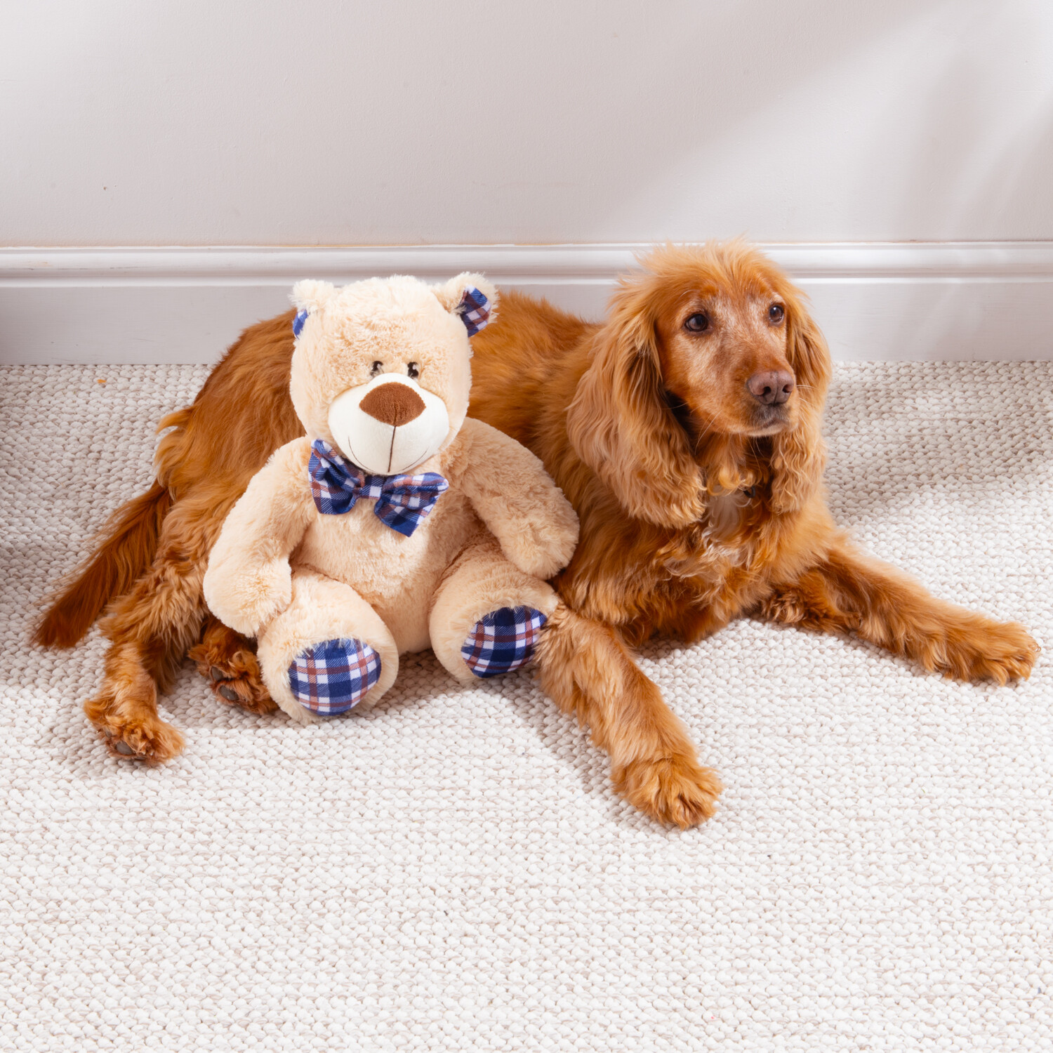 Clever Paws Large Teddy Dog Toy