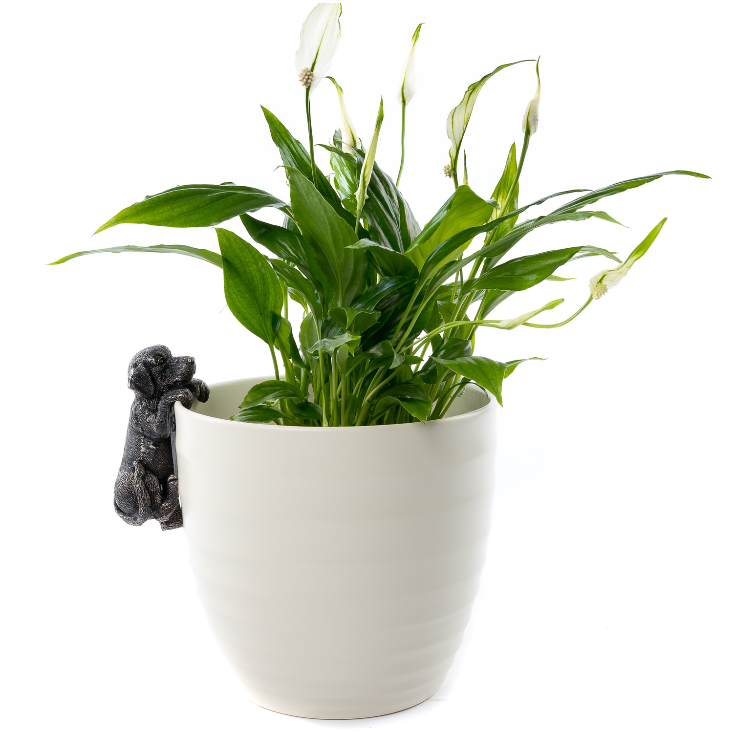 Labrador Plant Pot Hanger