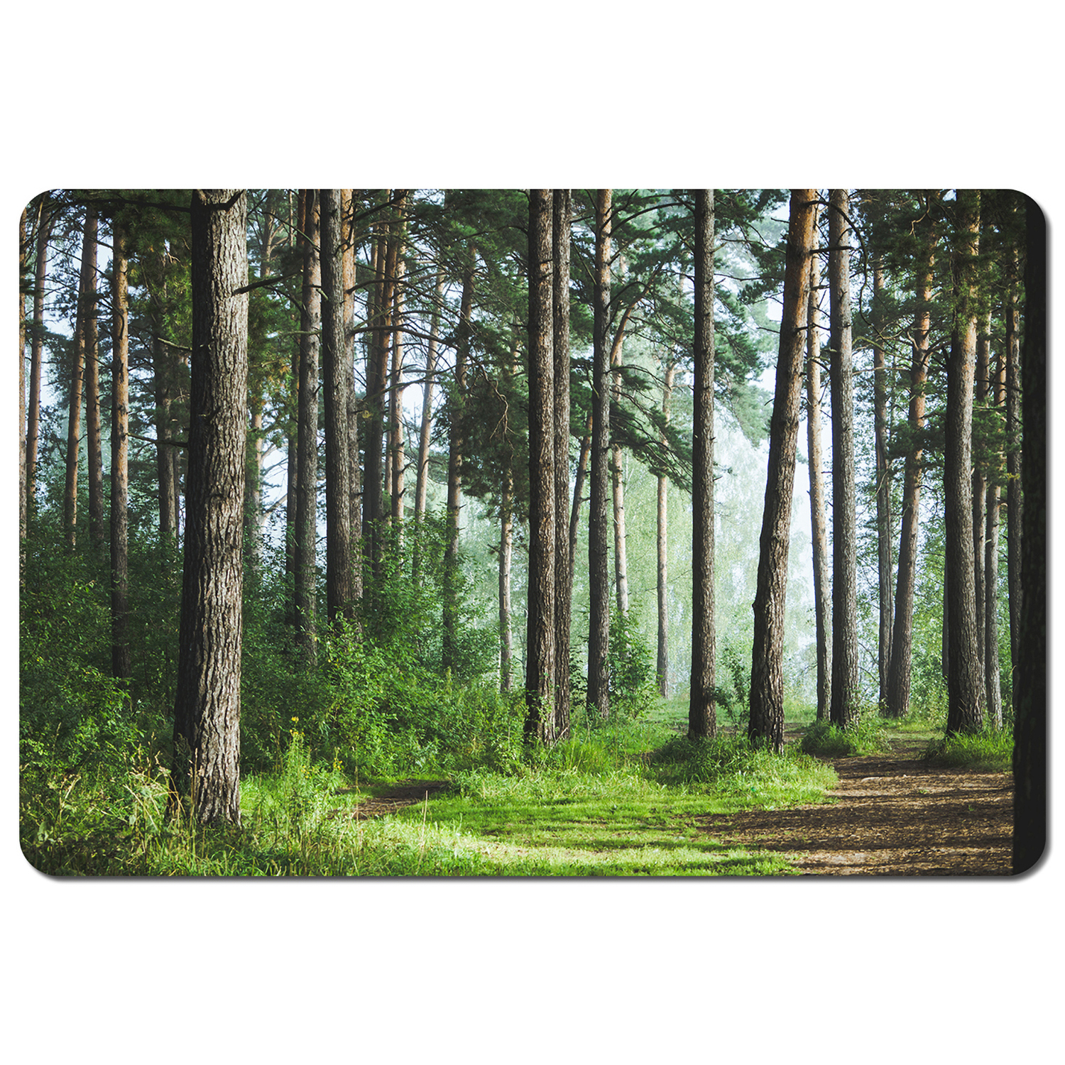Beautiful summer forest with different trees Designer Placemat Set