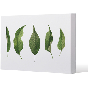 Selection Of leaves Canvas Print