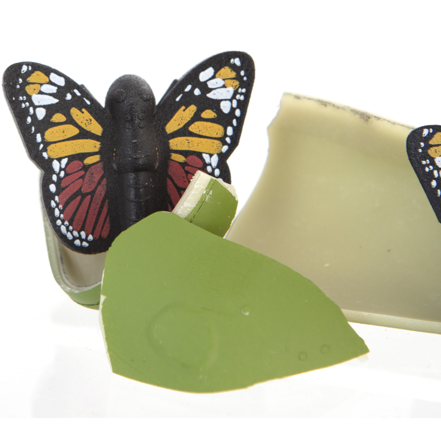 Hatch A Butterfly