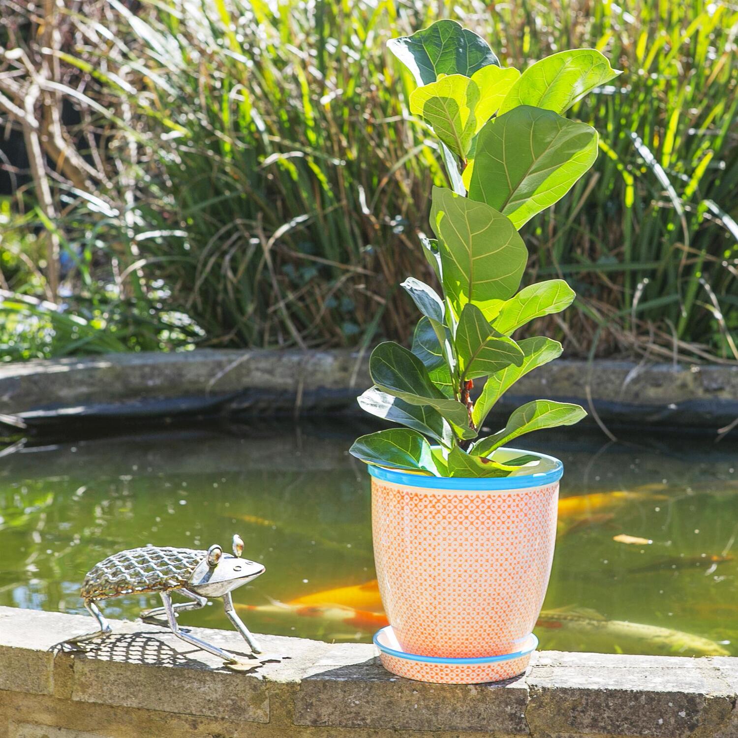 20.5cm Hand-Printed Plant Pots with Saucers