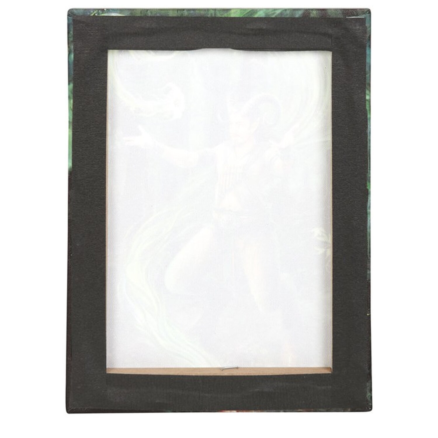 Earth Element Wizard Canvas Plaque by Anne Stokes