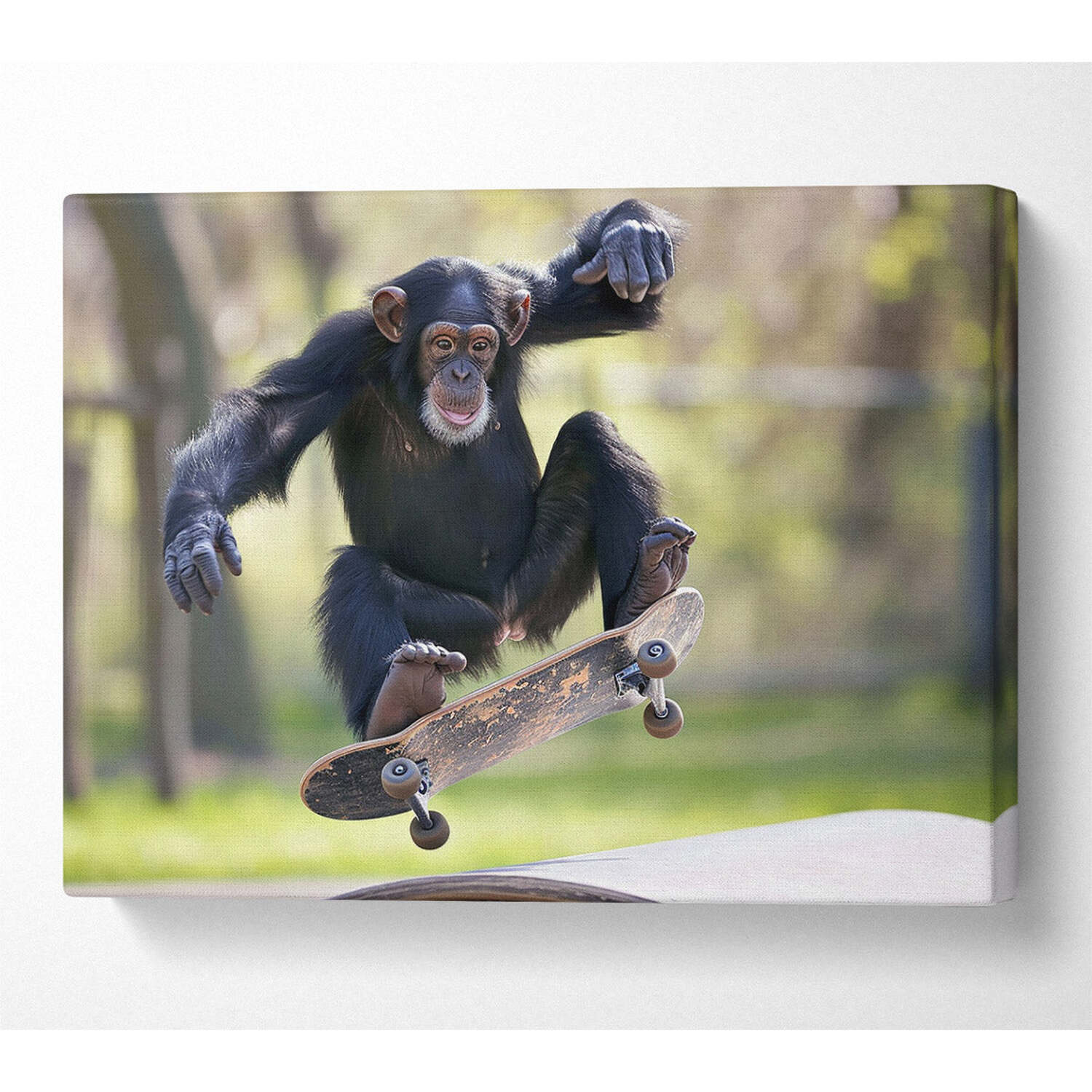 Chimpanzee Skating Canvas Print