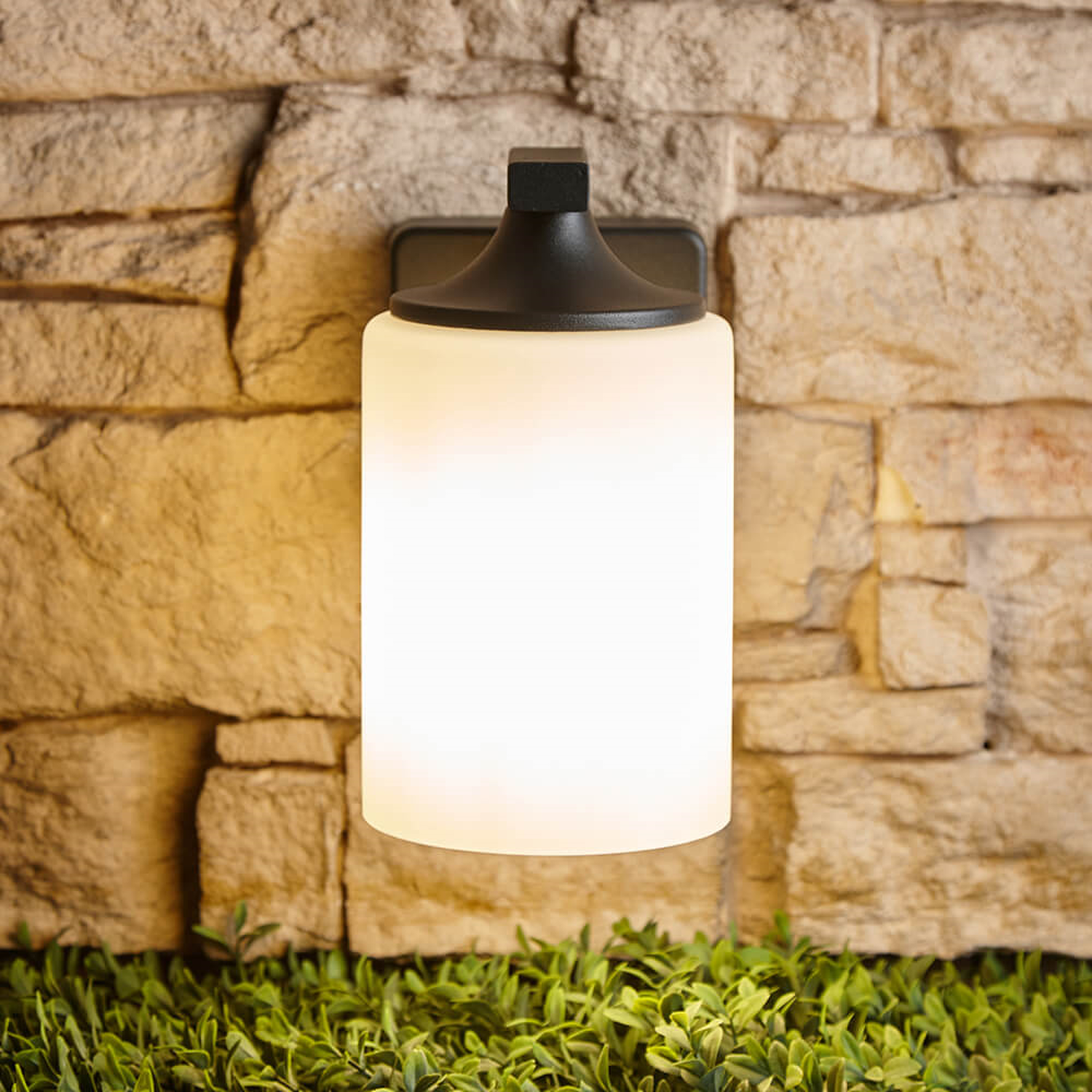 Outdoor Round Downlighter Wall Light