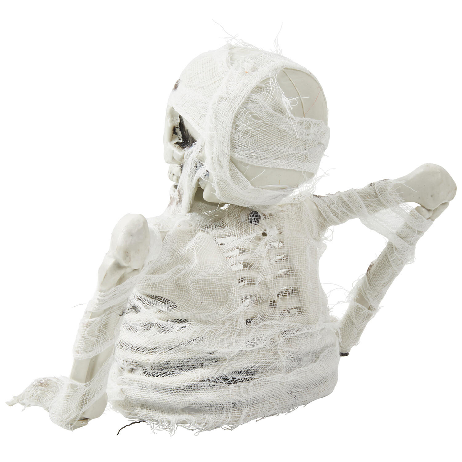 Skeleton Mummy