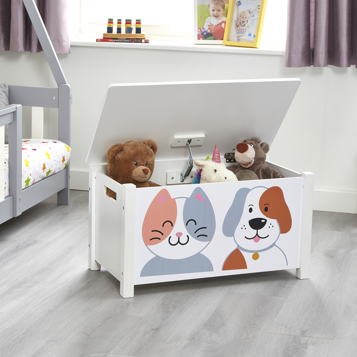 Huge Toy Box