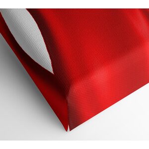 Red Silk Canvas Print Wall Art