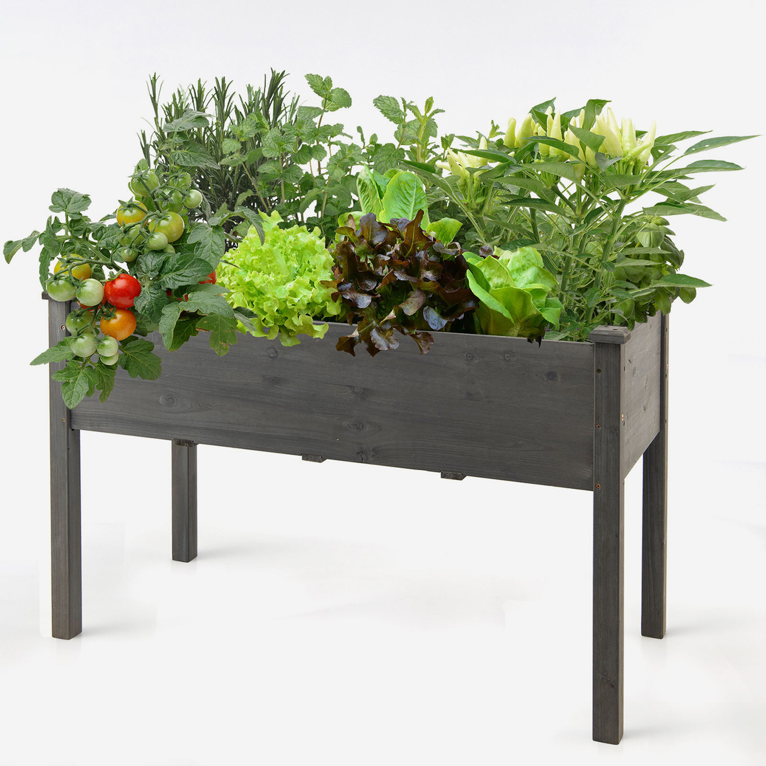 Raised Garden Bed Elevated Plant Container