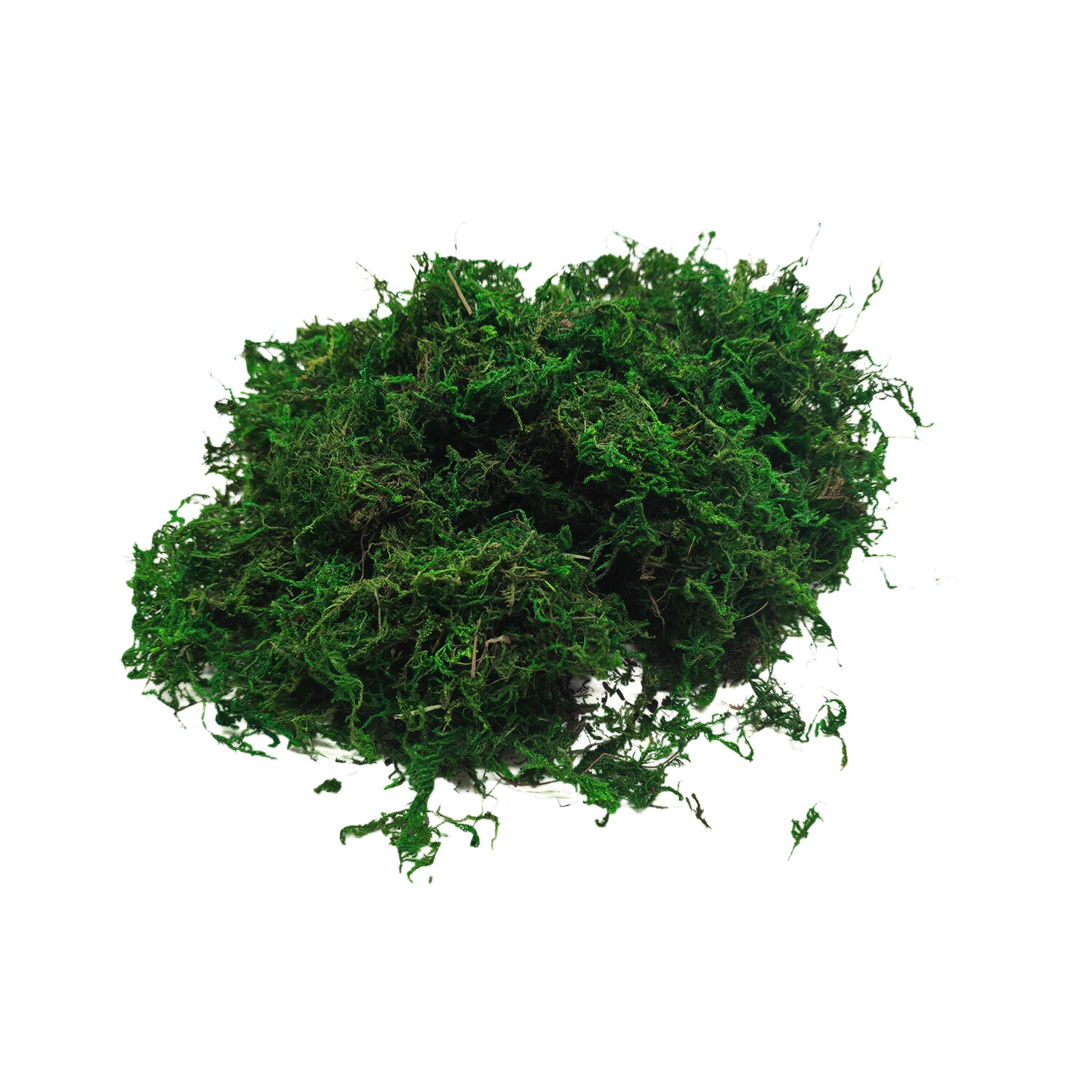 Craft Moss 500g