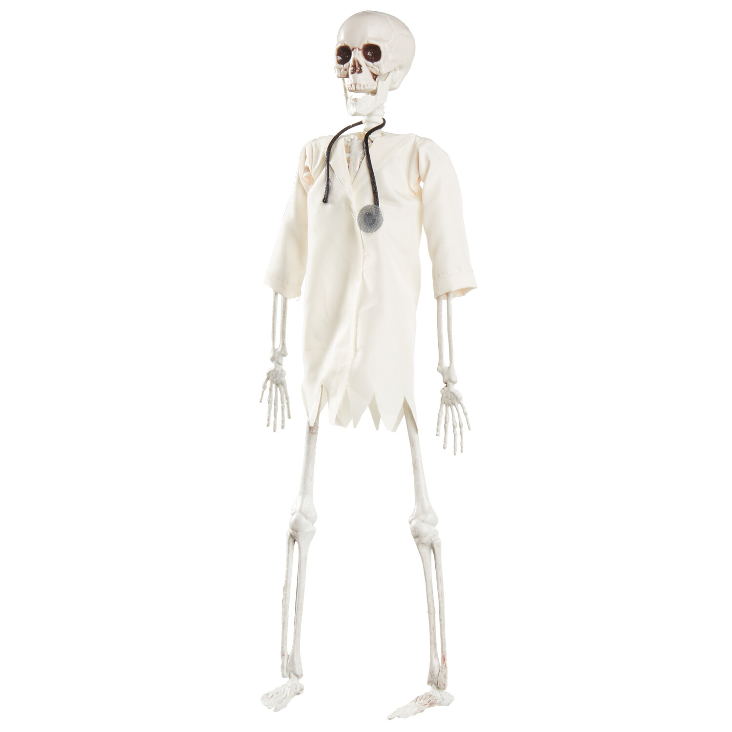 Hanging Skeleton Doctor