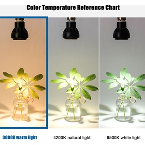 6W LED R50 Light Bulb E14