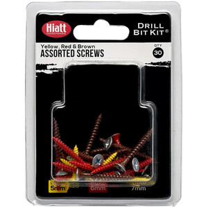 Pack of 30 Assorted Screws