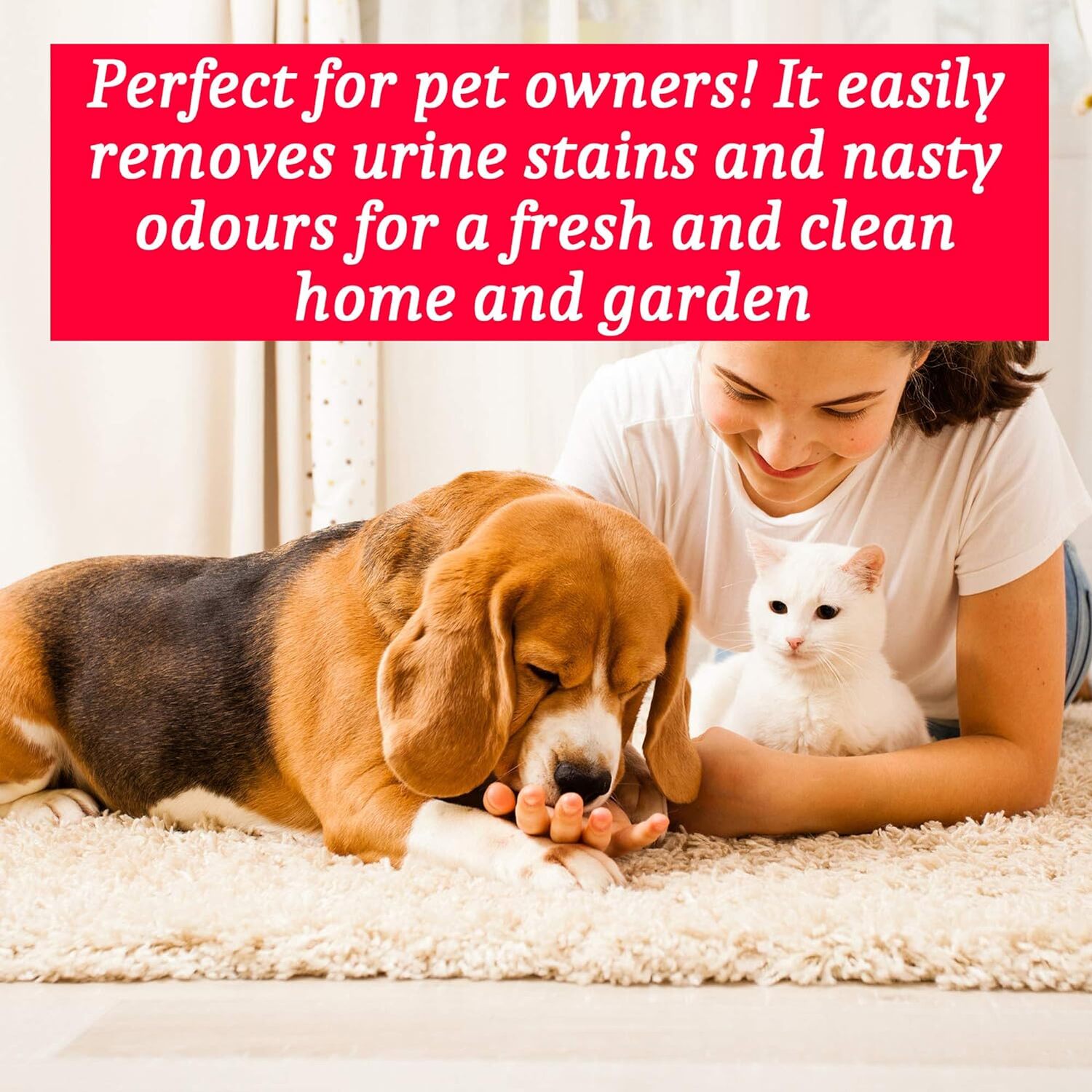Dog Wee Cleaner Pretty Pooch Multipurpose Disinfectant - Cleaner ...