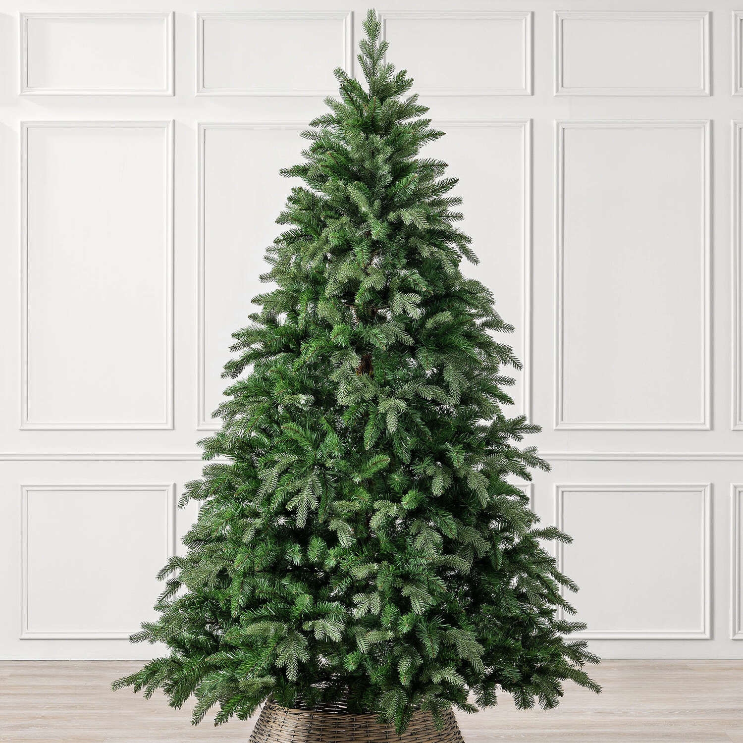 Fraser Fir Christmas Tree