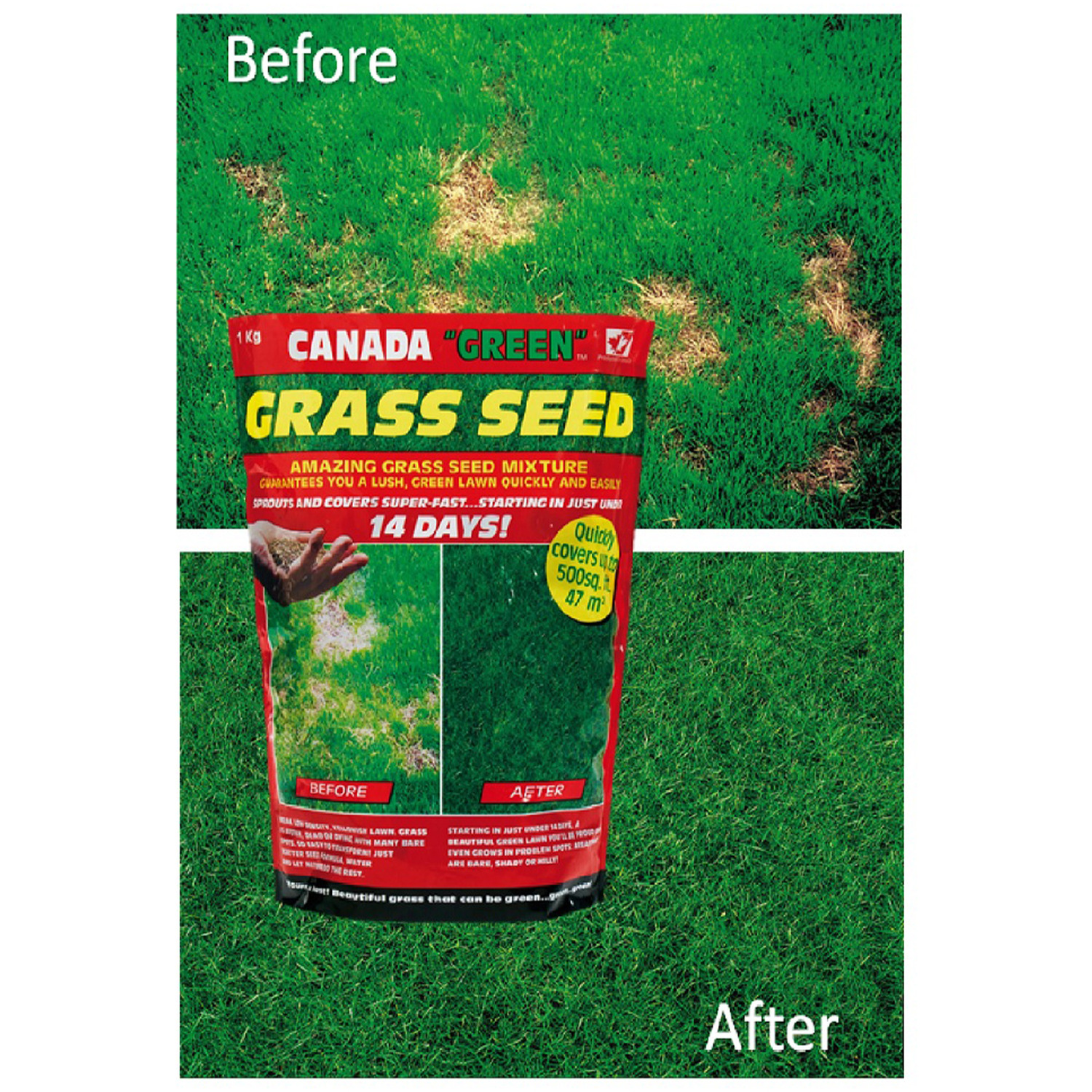 Canada Green Grass Seed 500g Pack