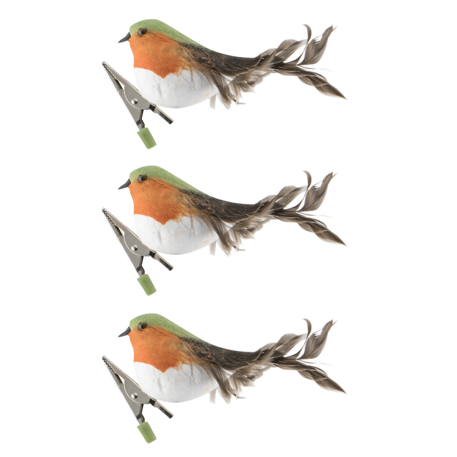 Robin Clips